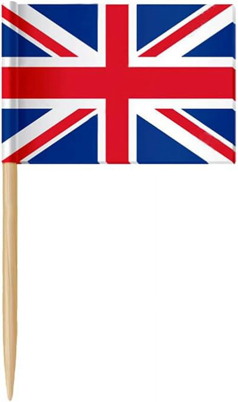 Cupcake Toppers Pride Flags Mini, 100Pcs International World Flag Hand ...