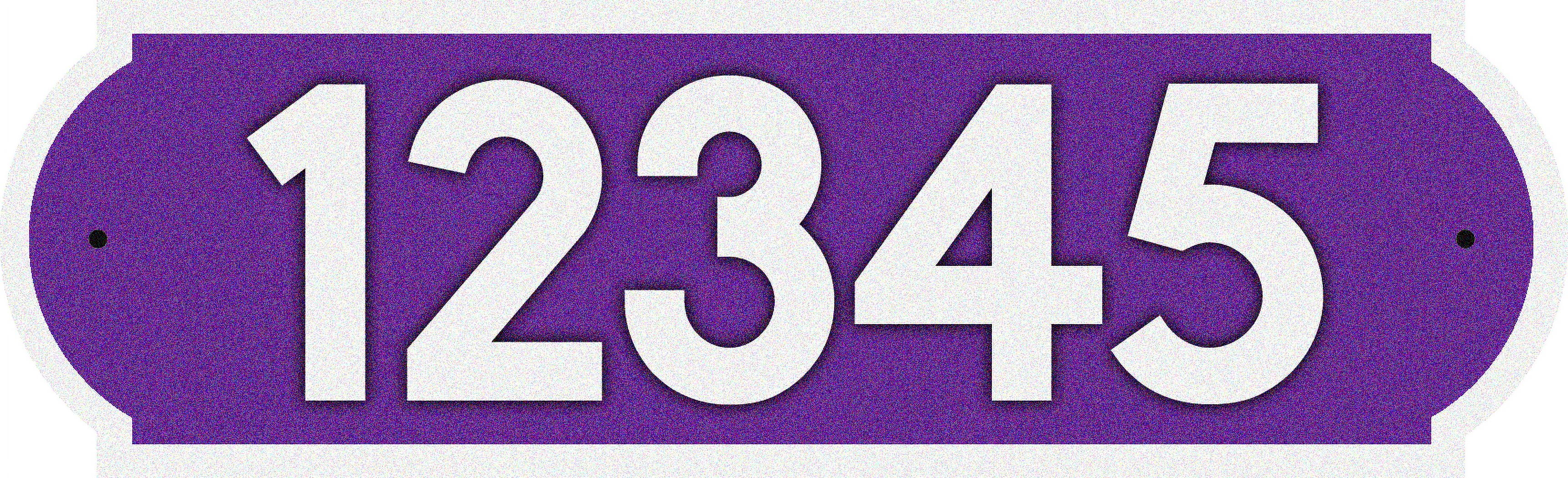 Curb-N-Sign® Horizontal Fancy Address Numbers for Outside, Custom ...