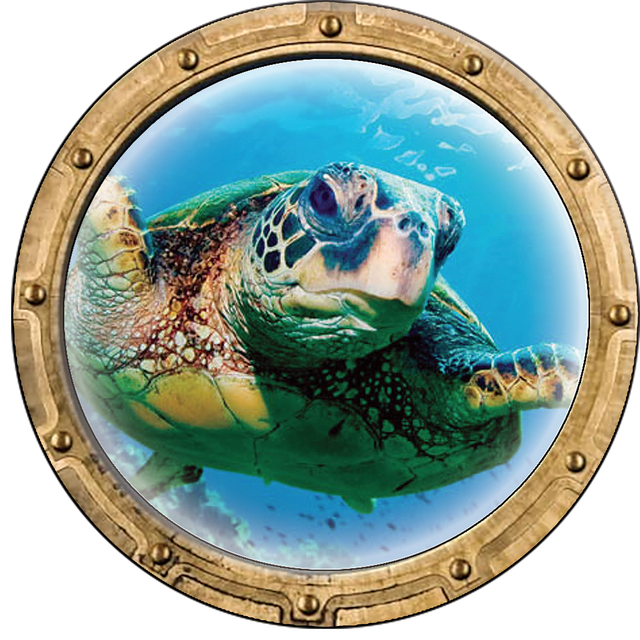 Curb-N-Sign® Wall Decal Porthole, Super Reflective 3D Wall Sticker Peel ...