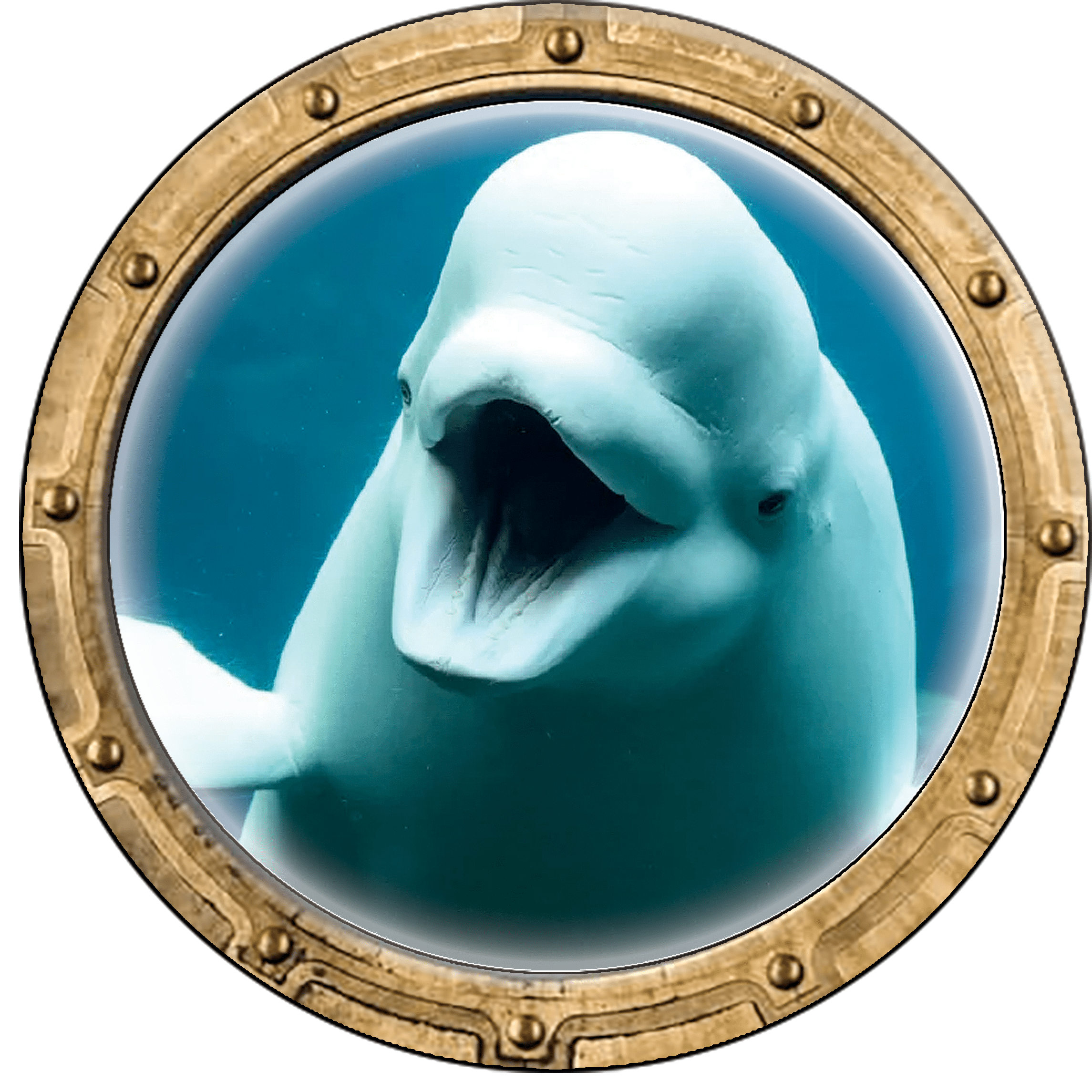 Curb-N-Sign® Wall Decal Porthole, Super Reflective 3D Wall Sticker Peel ...