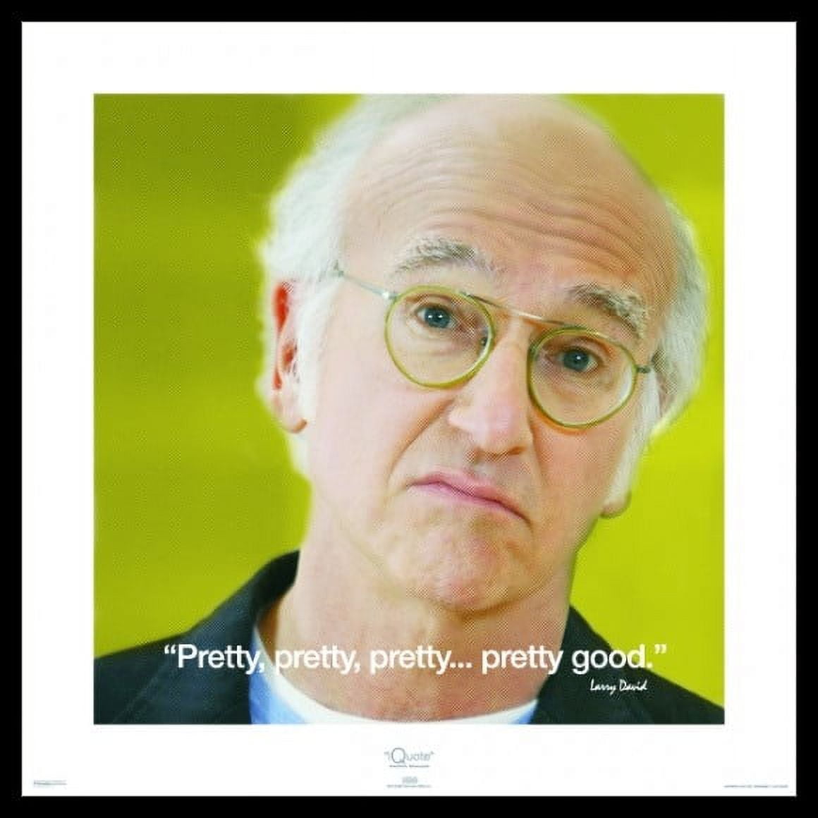 Curb Your Enthusiasm - Pretty Good Quote Laminated & Framed Poster (16 ...