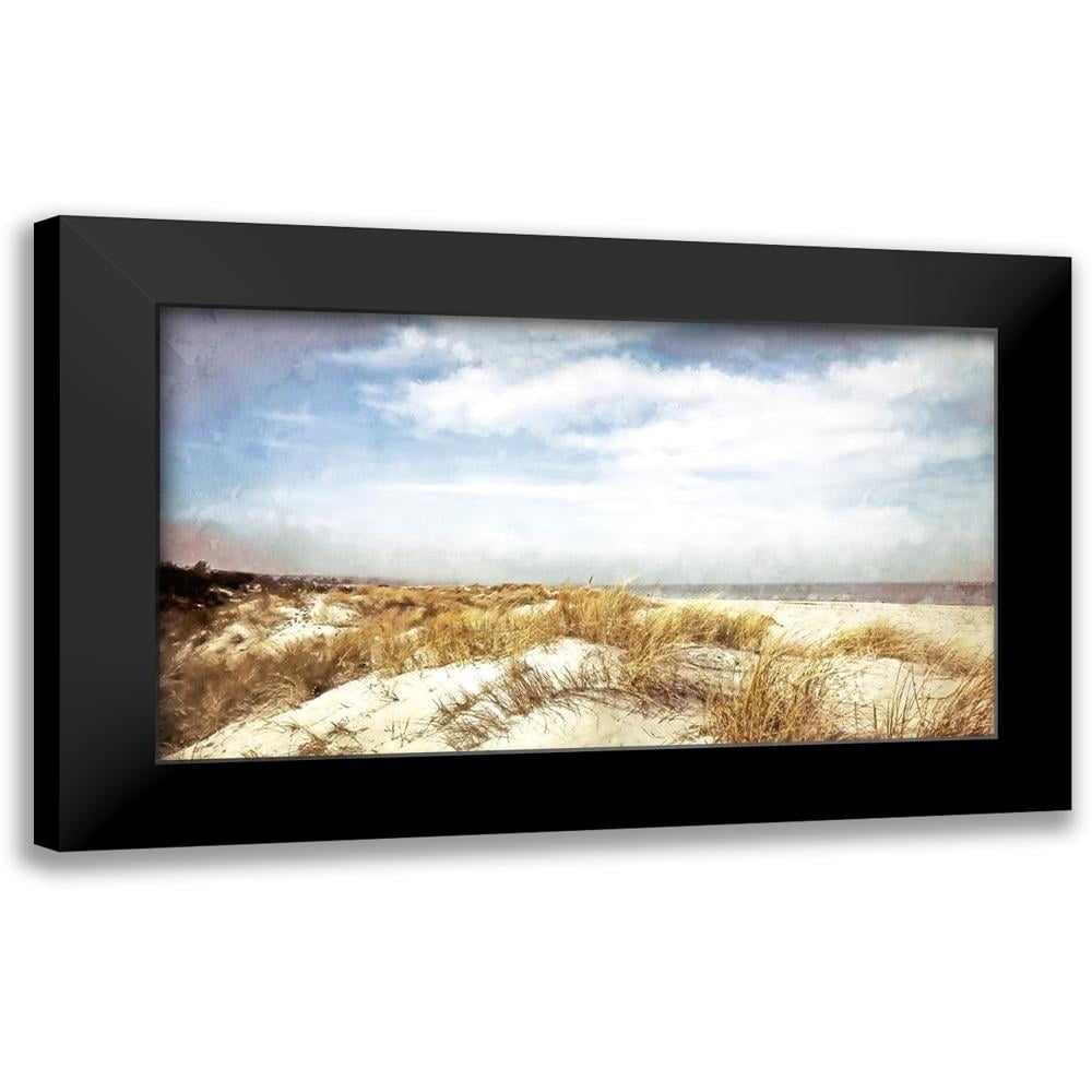 Curinga, Kim 24x15 Black Modern Framed Museum Art Print Titled - Dune ...