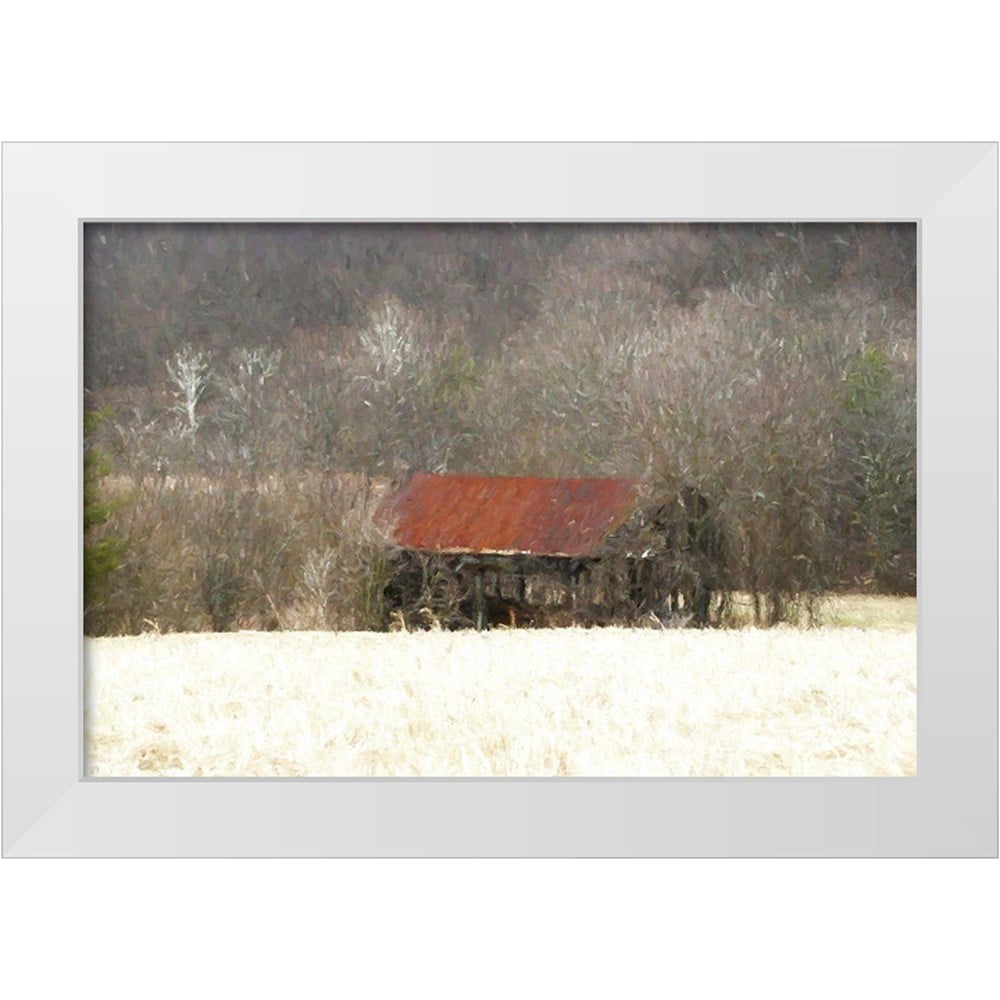 Curinga, Kim 24x17 White Modern Wood Framed Museum Art Print Titled ...