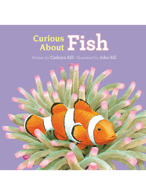 Curious About Fish - Walmart.com