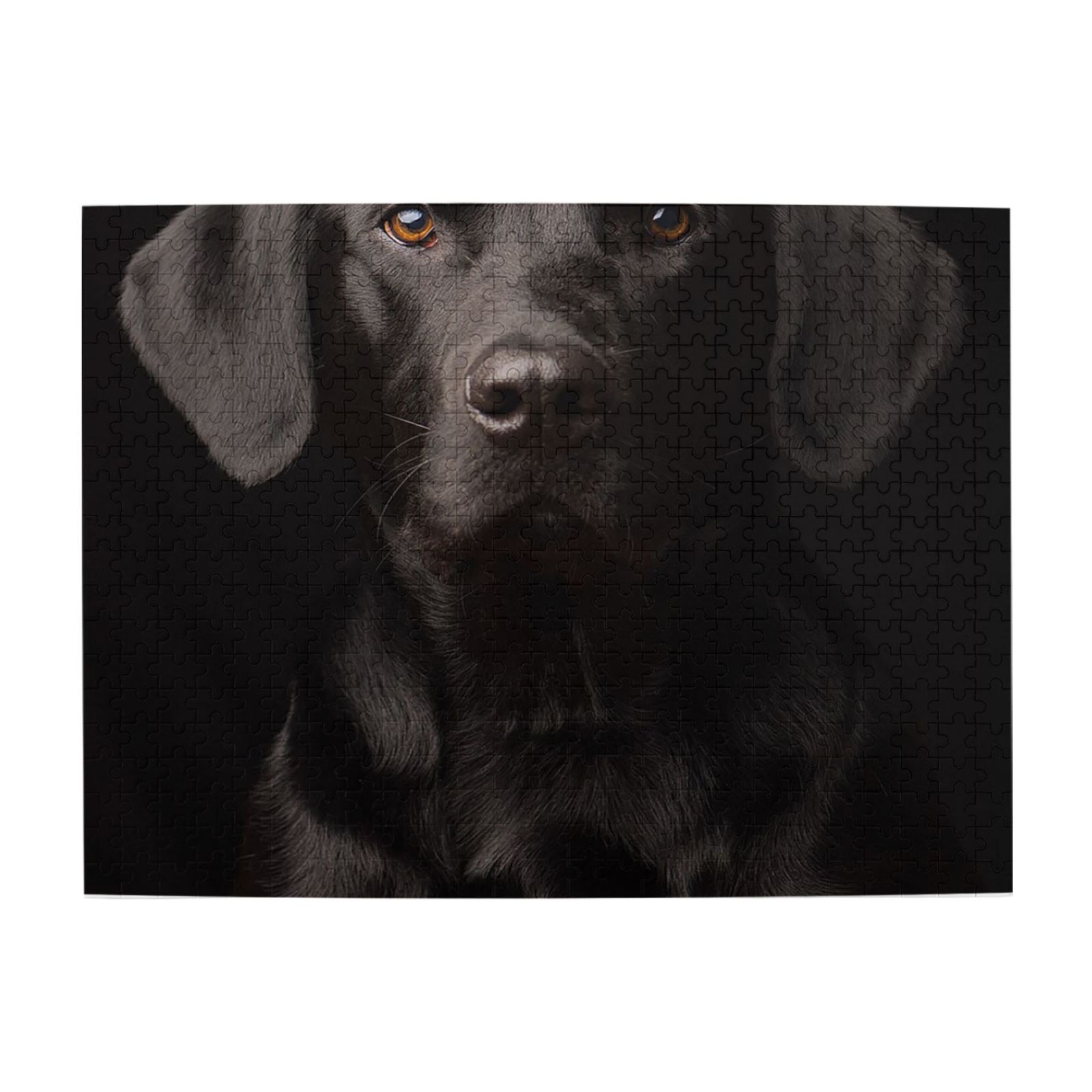 Curious Adopted Black Labrador, Jigsaw Puzzles 500 Pieces Wooden Jigsaw ...