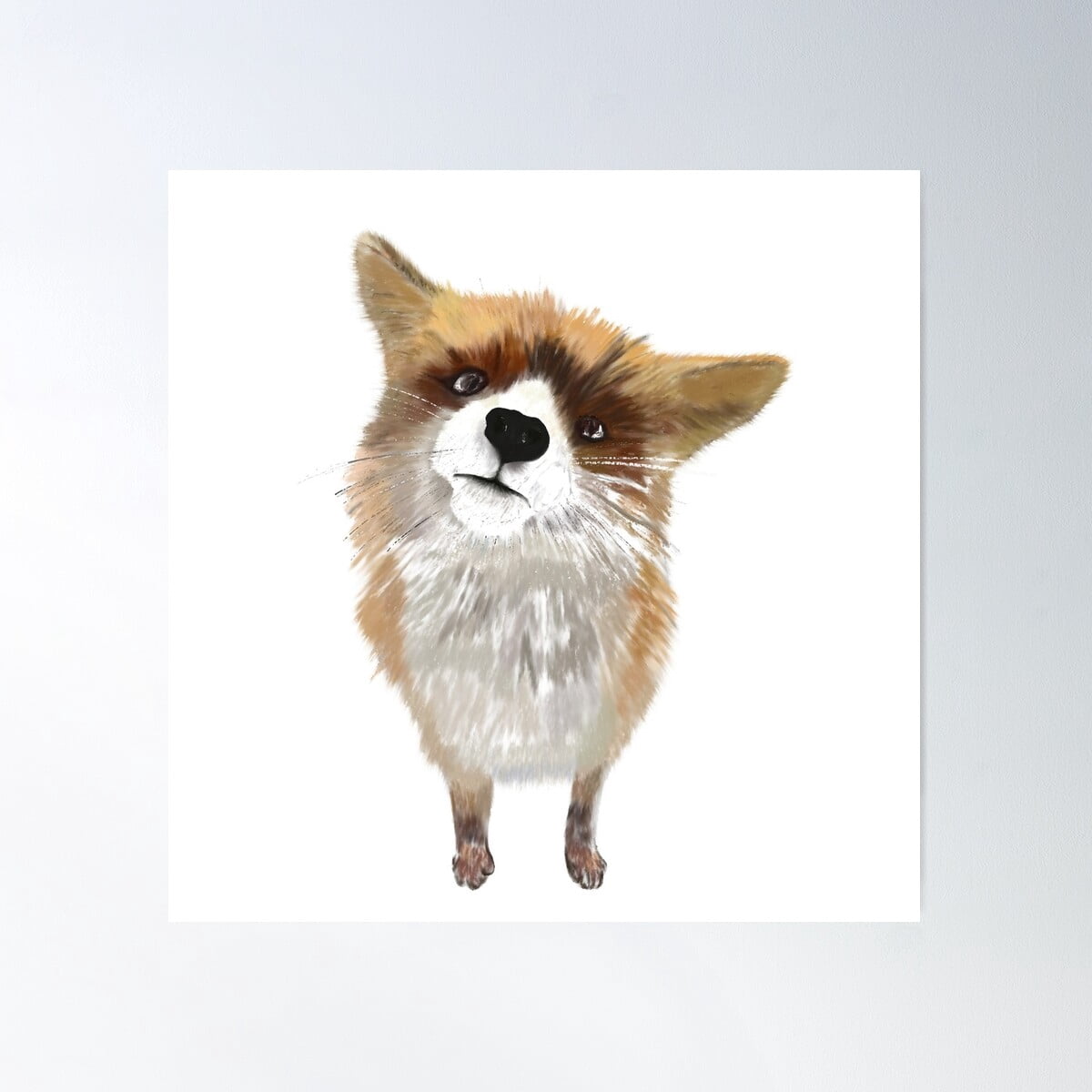 Curious Little Fellow (Transparent Image) Poster Wall Art, Modern Wall ...