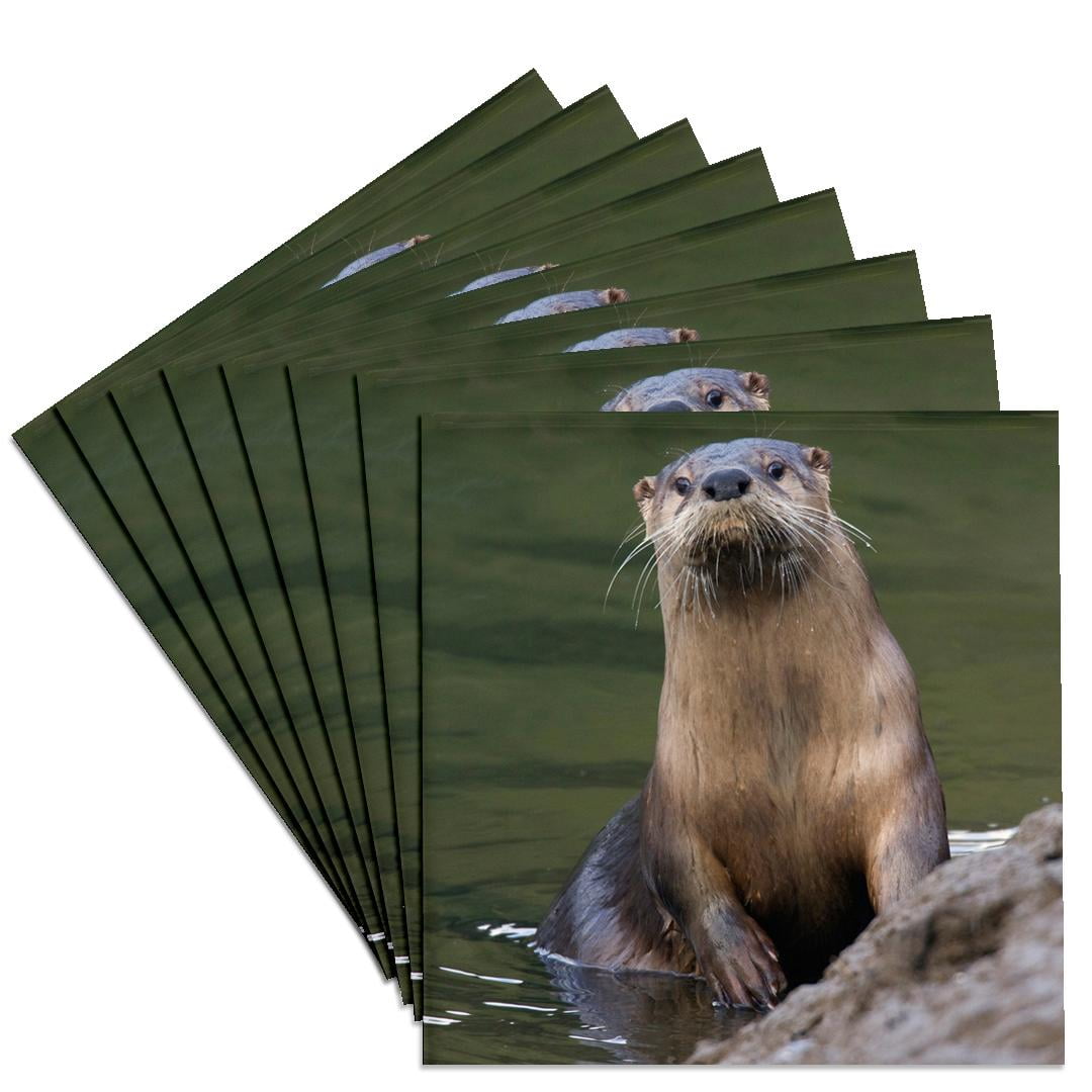 3drose, Curious River Otter, Set of 8 Ceramic Tile Coasters - Walmart.com