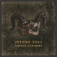 Curious Ruminant Jethro Tull (CD) - Walmart.com