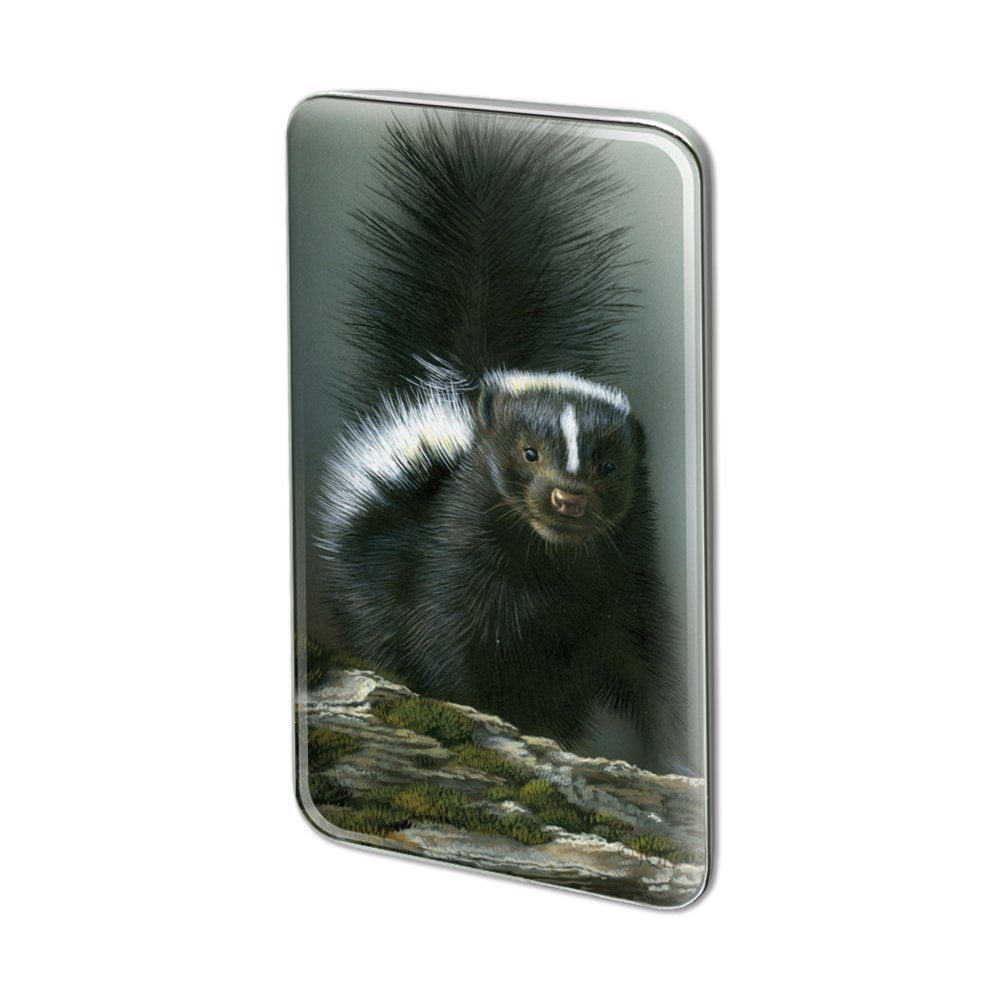 Curious Skunk Metal Rectangle Lapel Hat Pin Tie Tack Pinback - Walmart.com