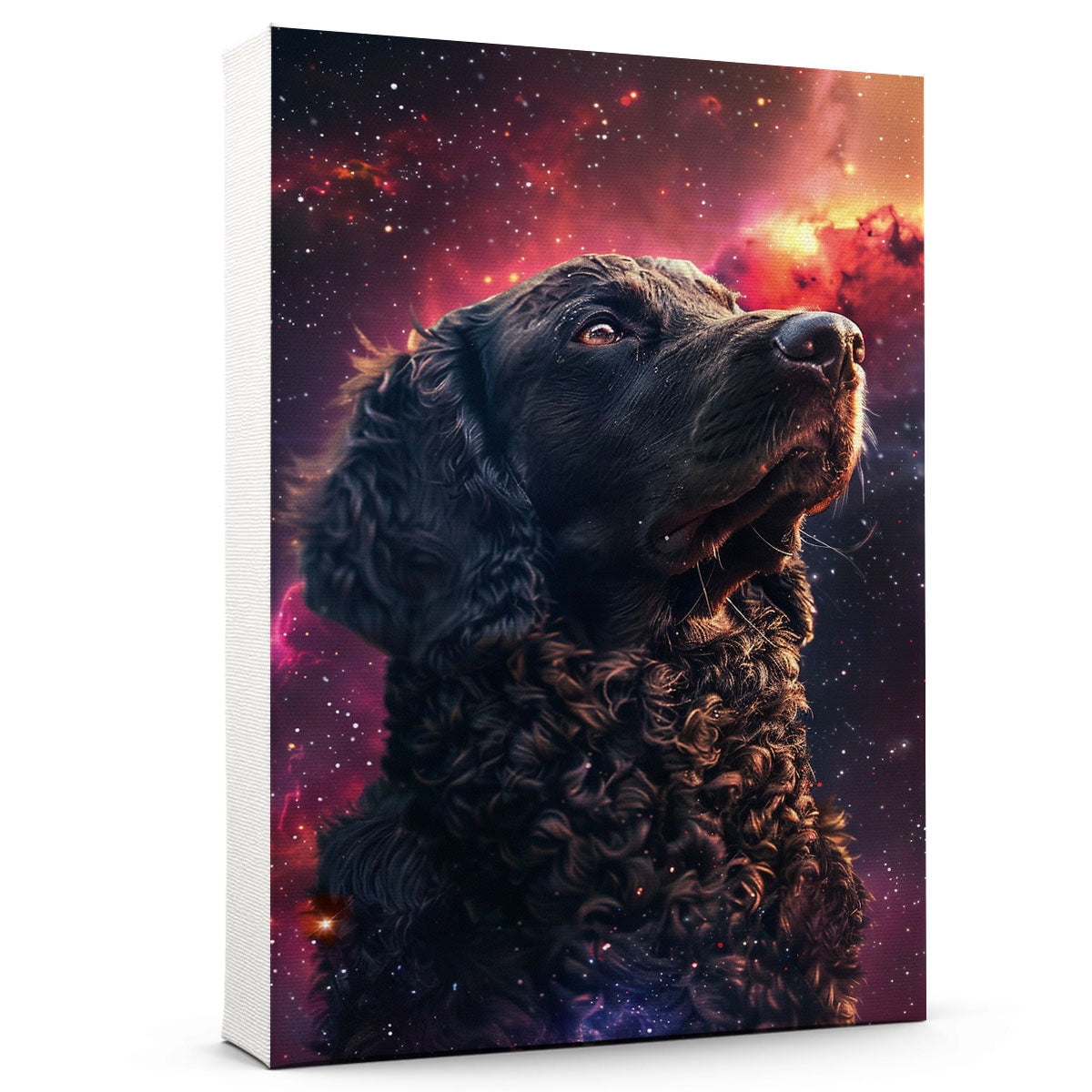 Curly Coated Retriever Dog Space Painting Poster Unframe, Curly Coated ...