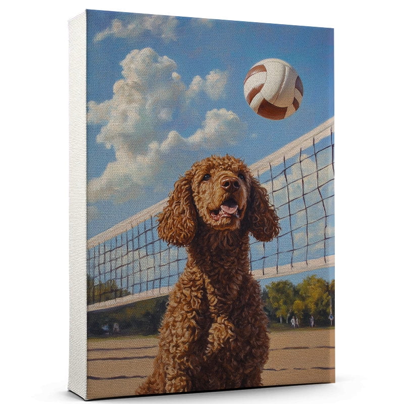 Curly Coated Retriever Dog Stretched Canvas Size 8x12 Volleyball Canvas ...