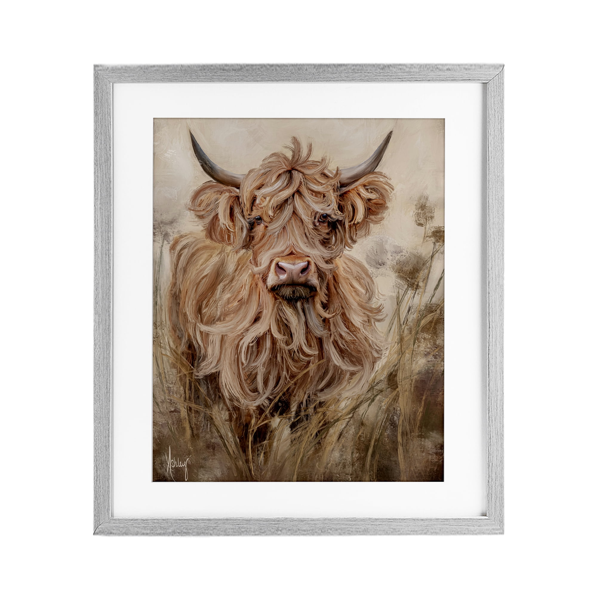 Curly Haired Highland Cattle Gray Framed Print Under Glass, design by ...
