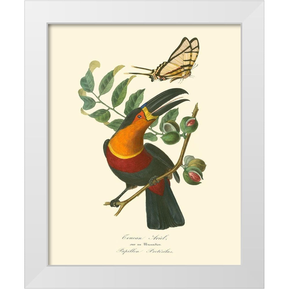 Curmer, L. 12x14 White Modern Wood Framed Museum Art Print Titled ...