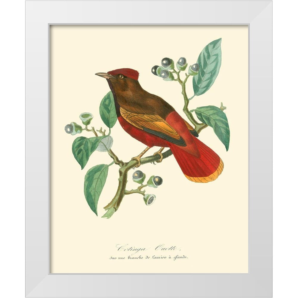 Curmer, L. 12x14 White Modern Wood Framed Museum Art Print Titled ...