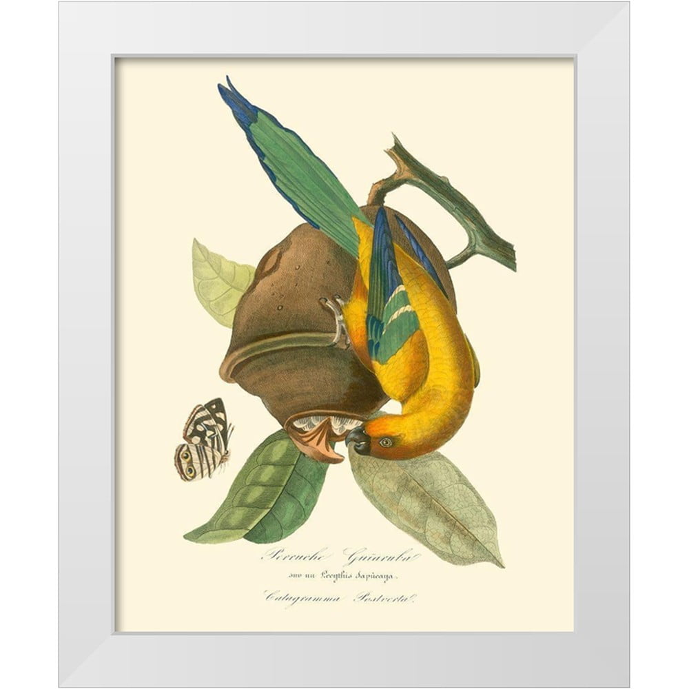 Curmer, L. 12x14 White Modern Wood Framed Museum Art Print Titled ...