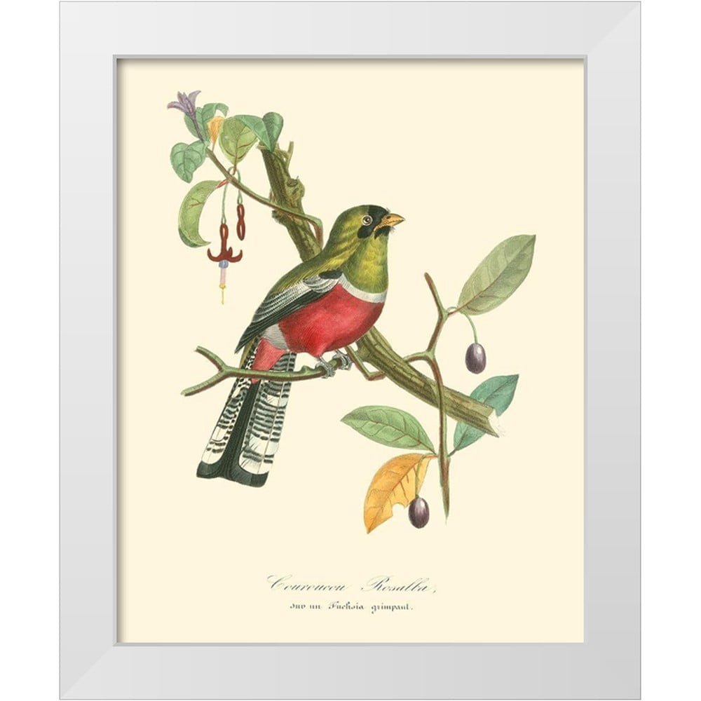 Curmer, L. 26x32 White Modern Wood Framed Museum Art Print Titled ...