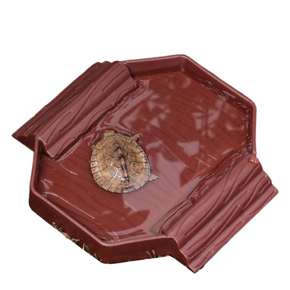 Curpgiee Tortoise Food Dish Small Reptile Bath Dish 2-in-1 Stain ...