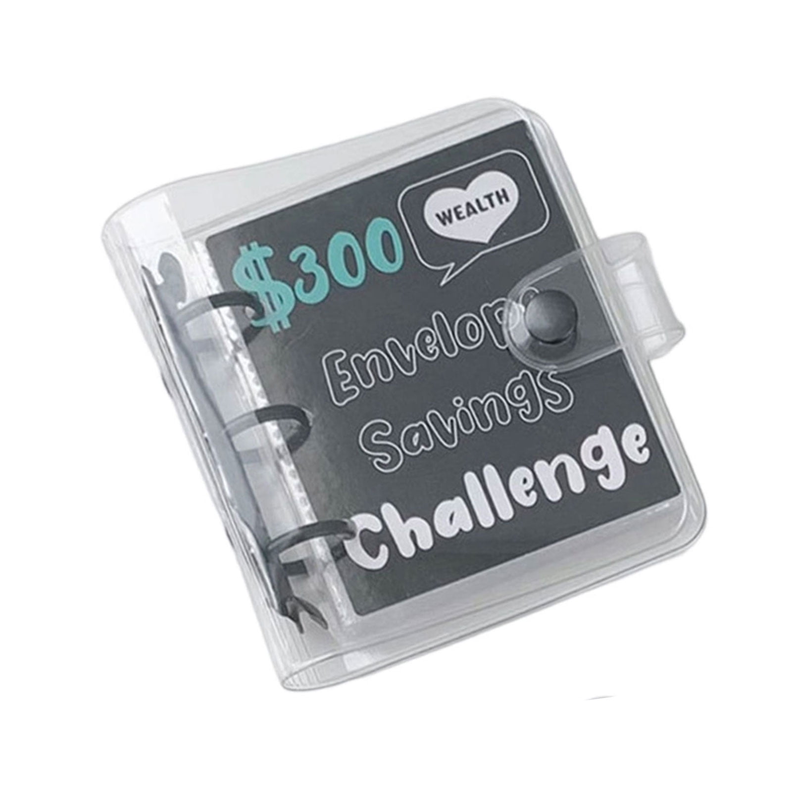 Currency Album 25 Pocket Money Holder Paper Money Storage Book 3 Rings ...