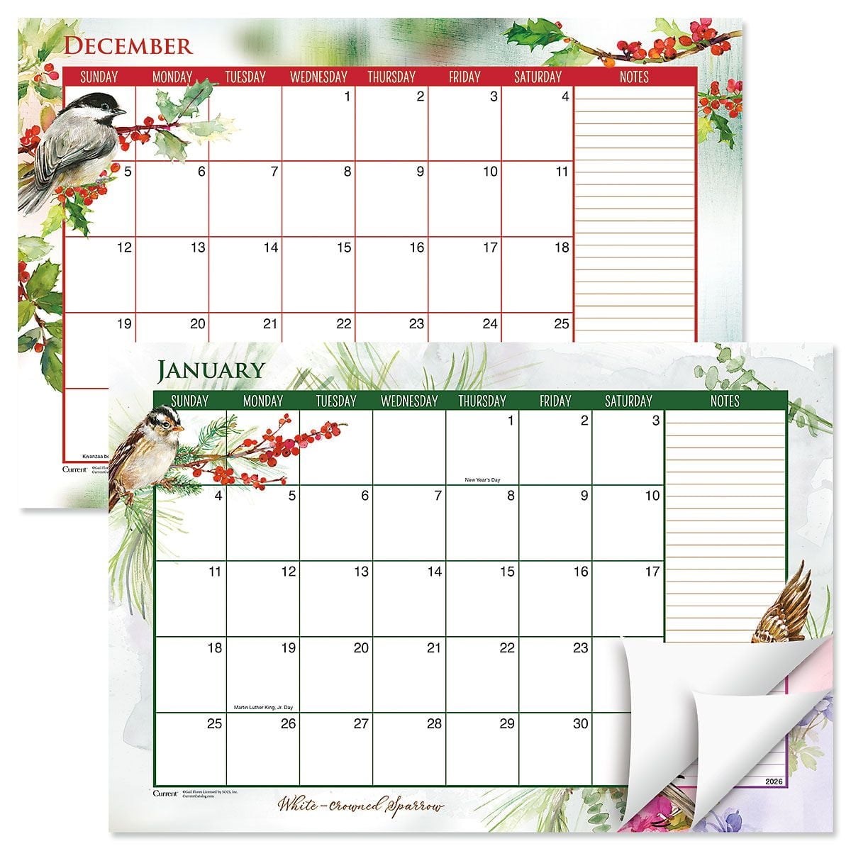 Current 2026 - 2027 Year of Birds Desk Calendar Pad, 11-Inch x 16-1/4 ...