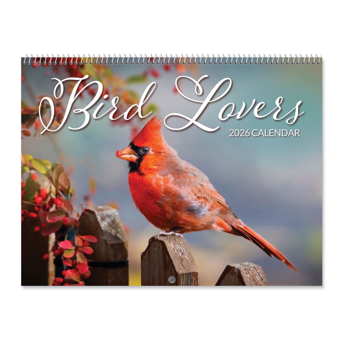 Current 2026 Bird Lovers 12 x 9-inch Wall Calendar, Large Bookstore ...
