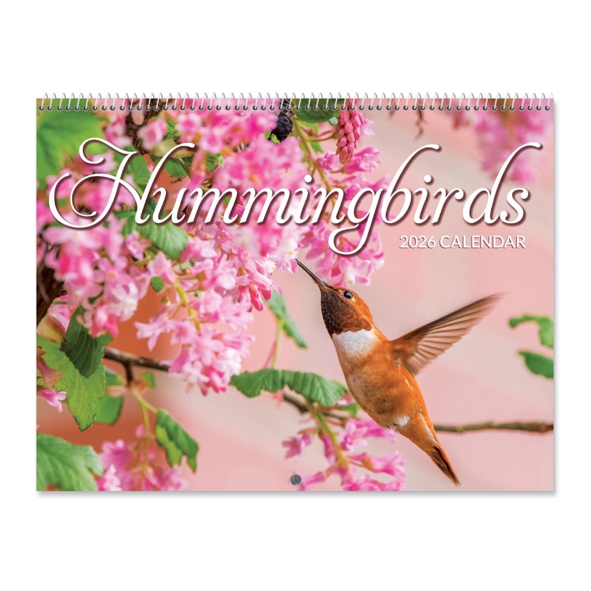 Current 2026 Hummingbirds 12 x 9-inch Wall Calendar, Large Bookstore ...