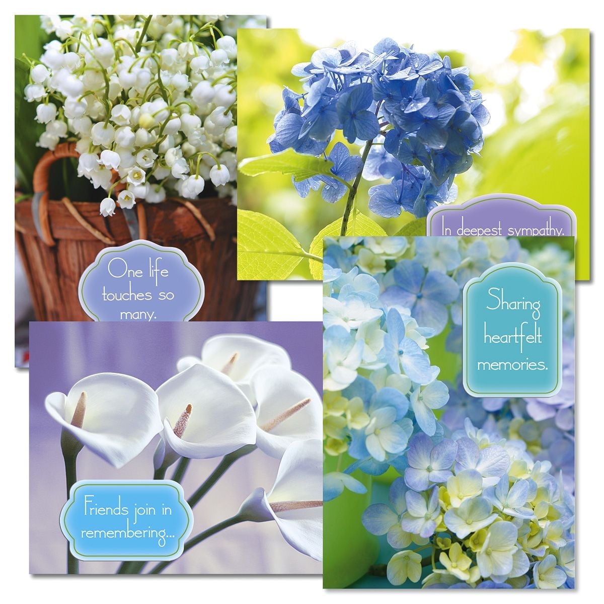 Current Floral Memories Sympathy Cards - 8 Pack, 7" x 5" - Walmart.com