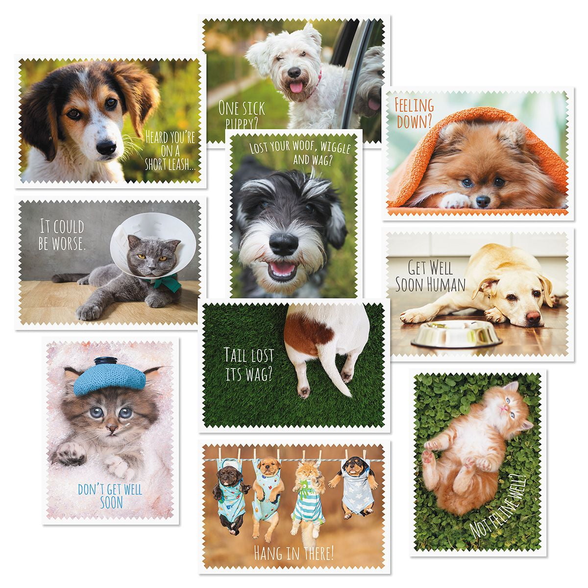 "Current Bulk Multipack Assorted Furry Friends Get Well Greeting Cards ...