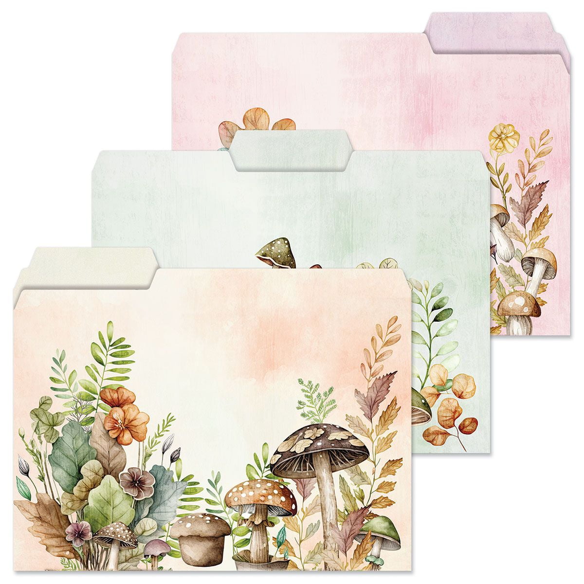 Current Mushroom Bunch File Folders - Set of 12, Staggered Tabs, Letter ...