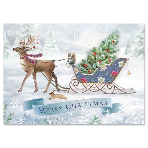 Current, Christian Christmas Greeting Cards, Set of 18, 5