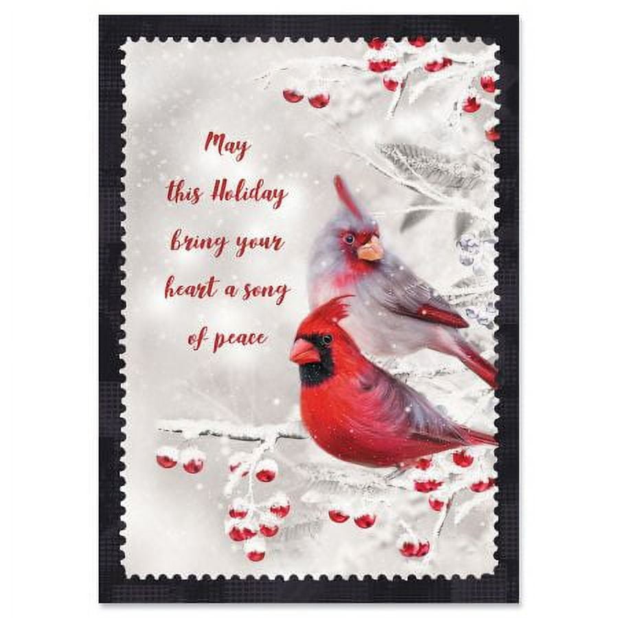 USA Made Winter Cardinal Christmas Cards Set - Box of 18, 5x7-Inch ...