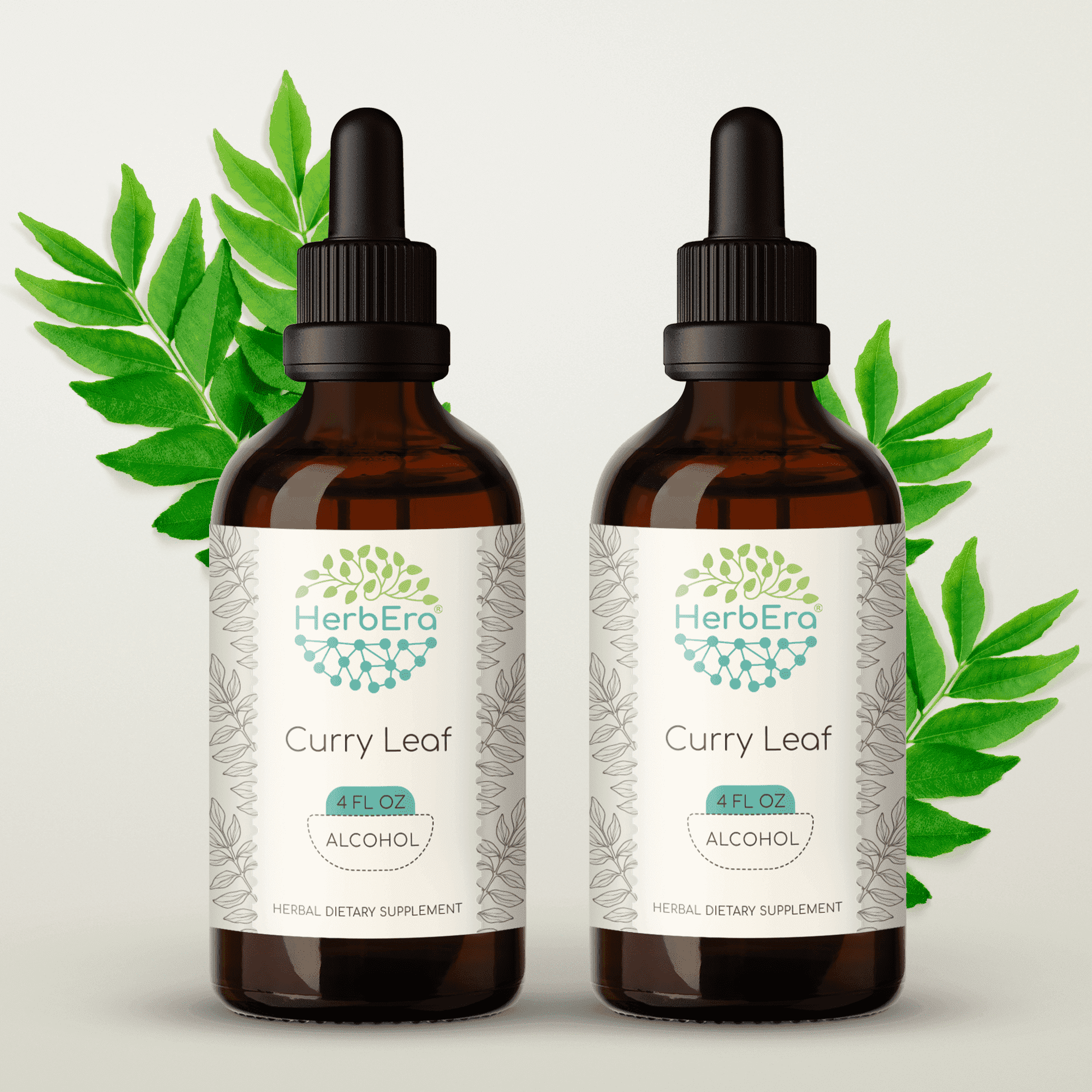 HerbEra Curry Leaf Tincture, Herbal Dietary Supplement for Digestive ...
