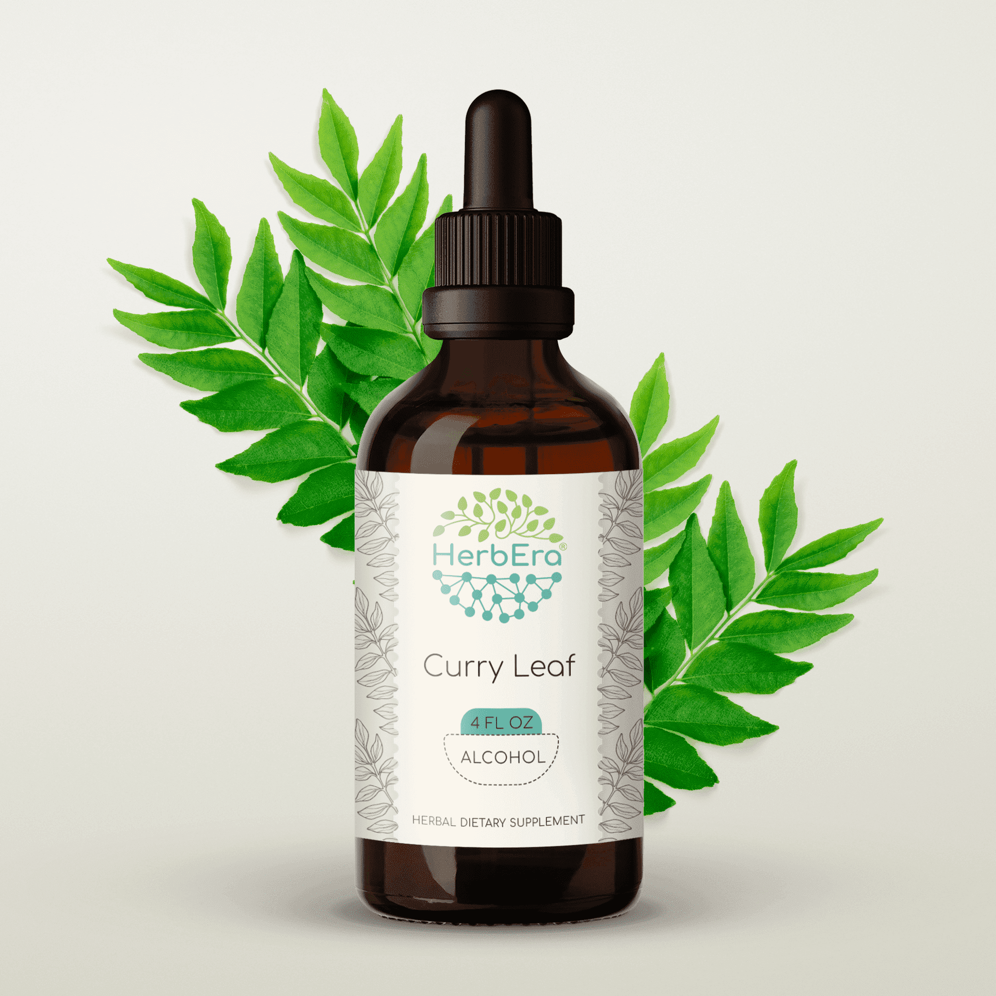 HerbEra Curry Leaf Tincture, Herbal Dietary Supplement for Digestive Support, Curry Leaf ...