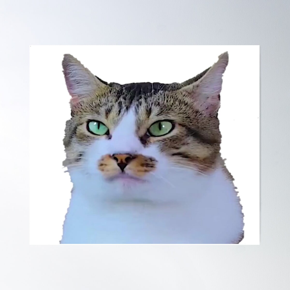 Curse A Cat Poster Wall Art, Modern Wall Decor For Living Room Bedroom ...