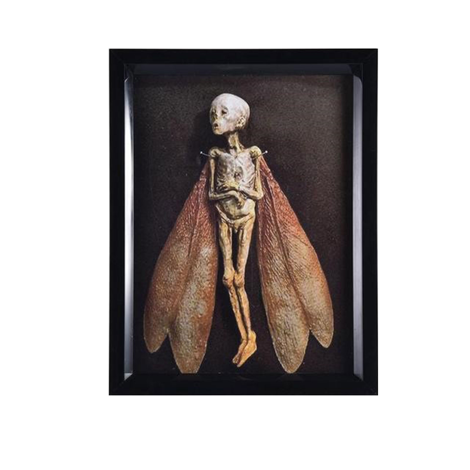 Cursed Items Dead Shadow Box Display Handmade Creepy Mummified Corpse ...