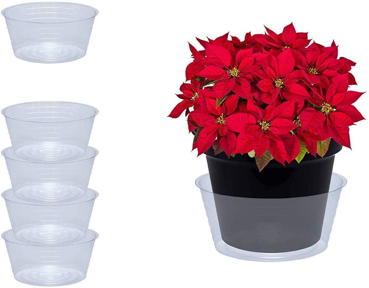 Curtis Wagner 5-Pack Clear Plastic Plant Tray Liner with Drip Drainage ...