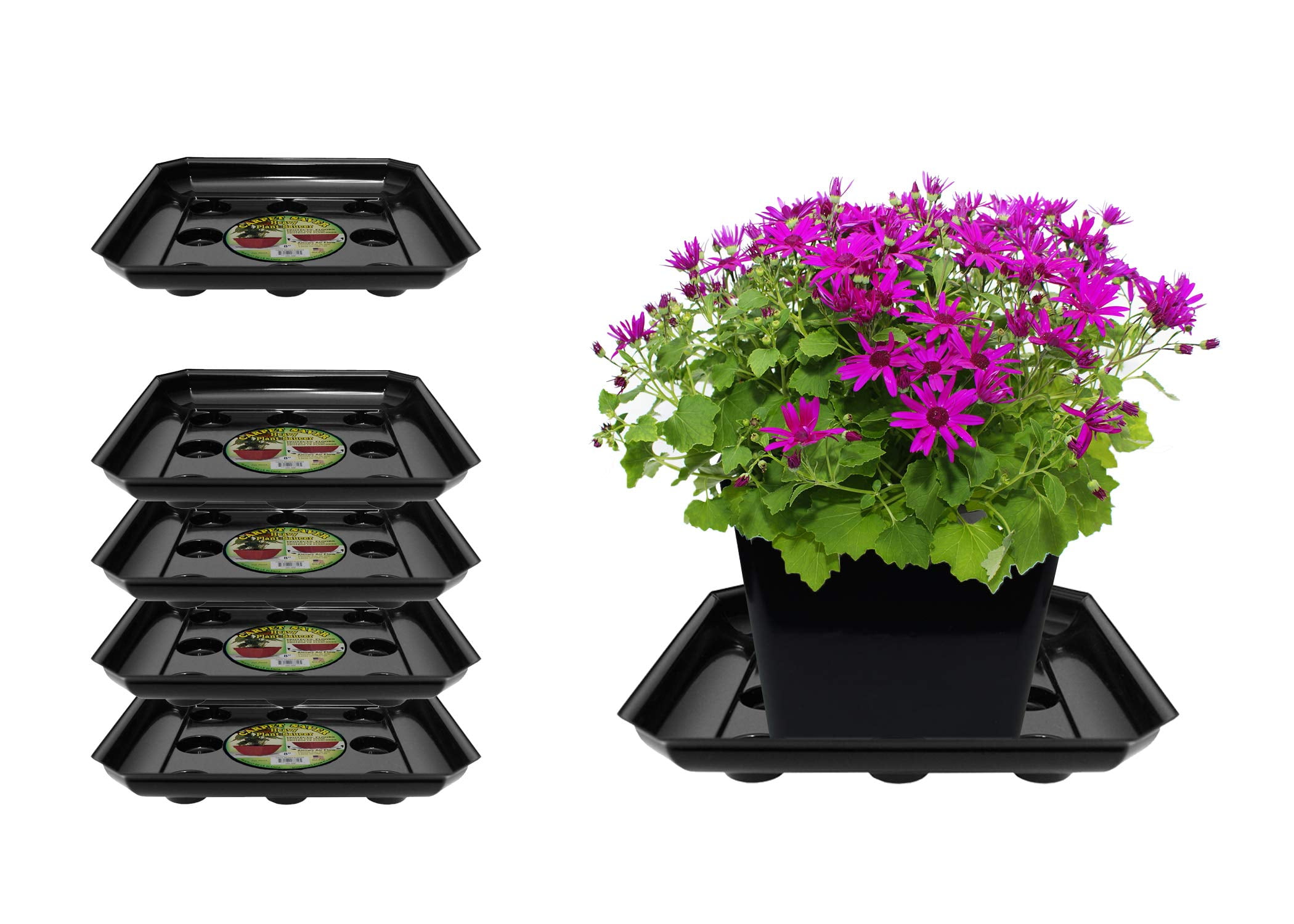 Curtis Wagner Plastics SQDS-1200B Carpet Saver Plant Tray Drip Pans (5 ...