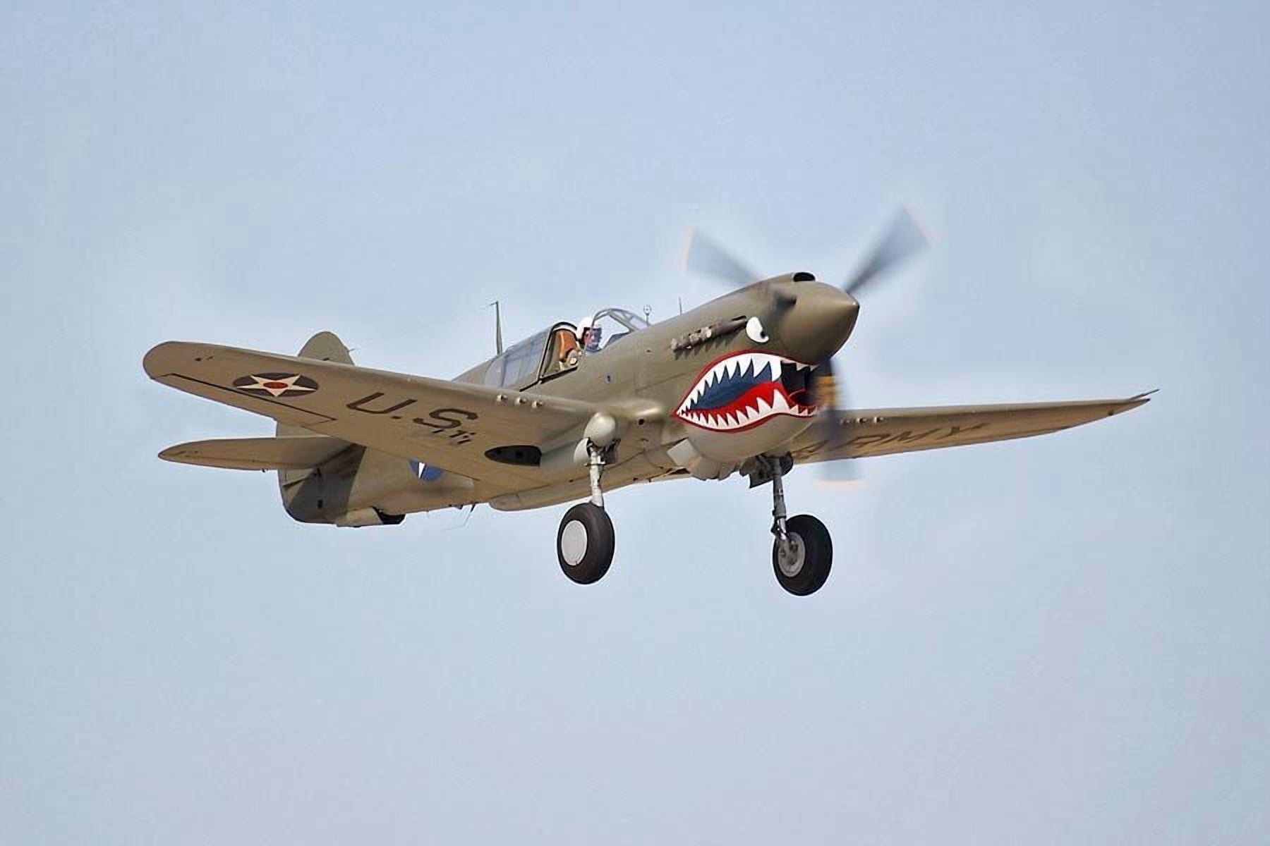 Curtiss P-40 Warhawk WWII Fighter Plane Style - 1 - 20x30 Inch ...