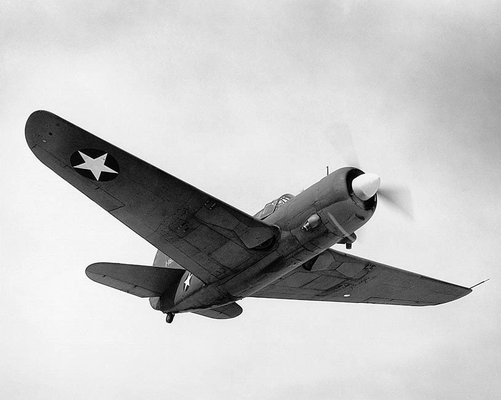 Curtiss SB2C Helldiver in Flight WWII - 20x30 Inch Laminated Aviation ...