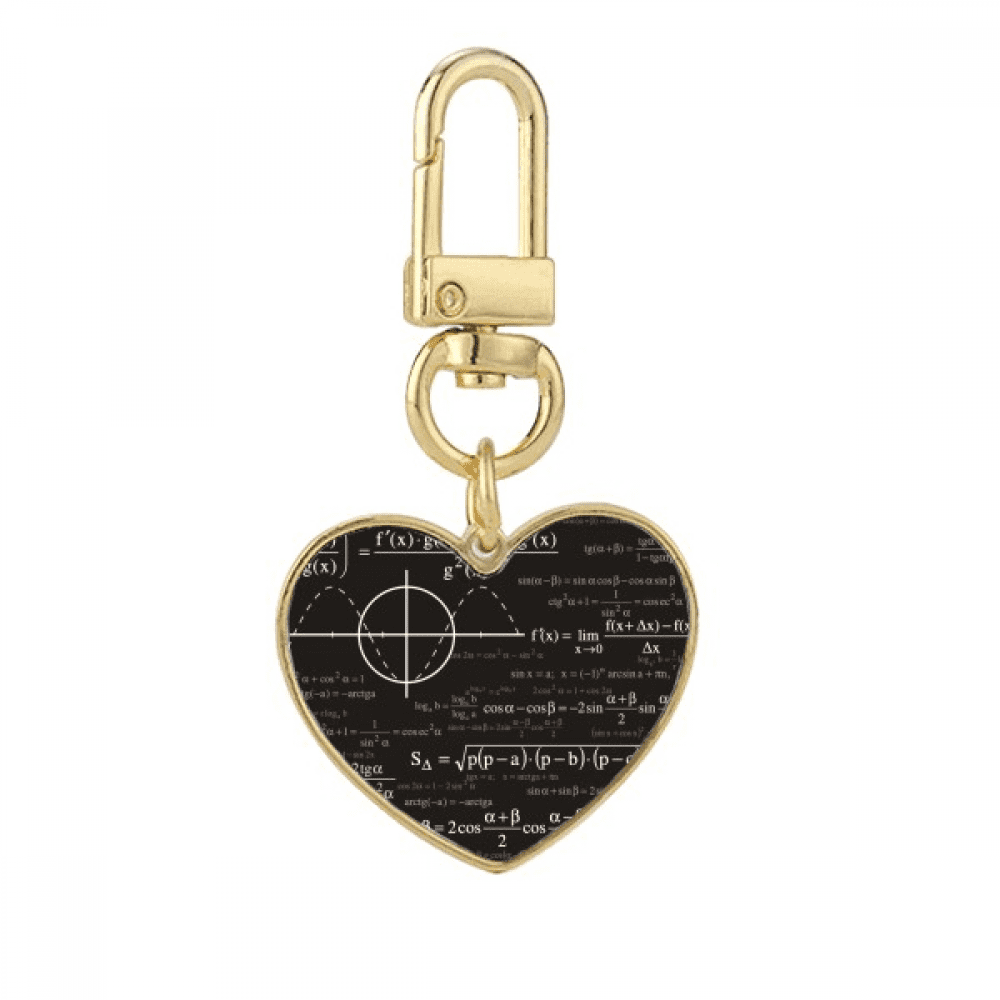 Curve Graphs Mathematical Formula Calculations Gold Heart Keychain ...
