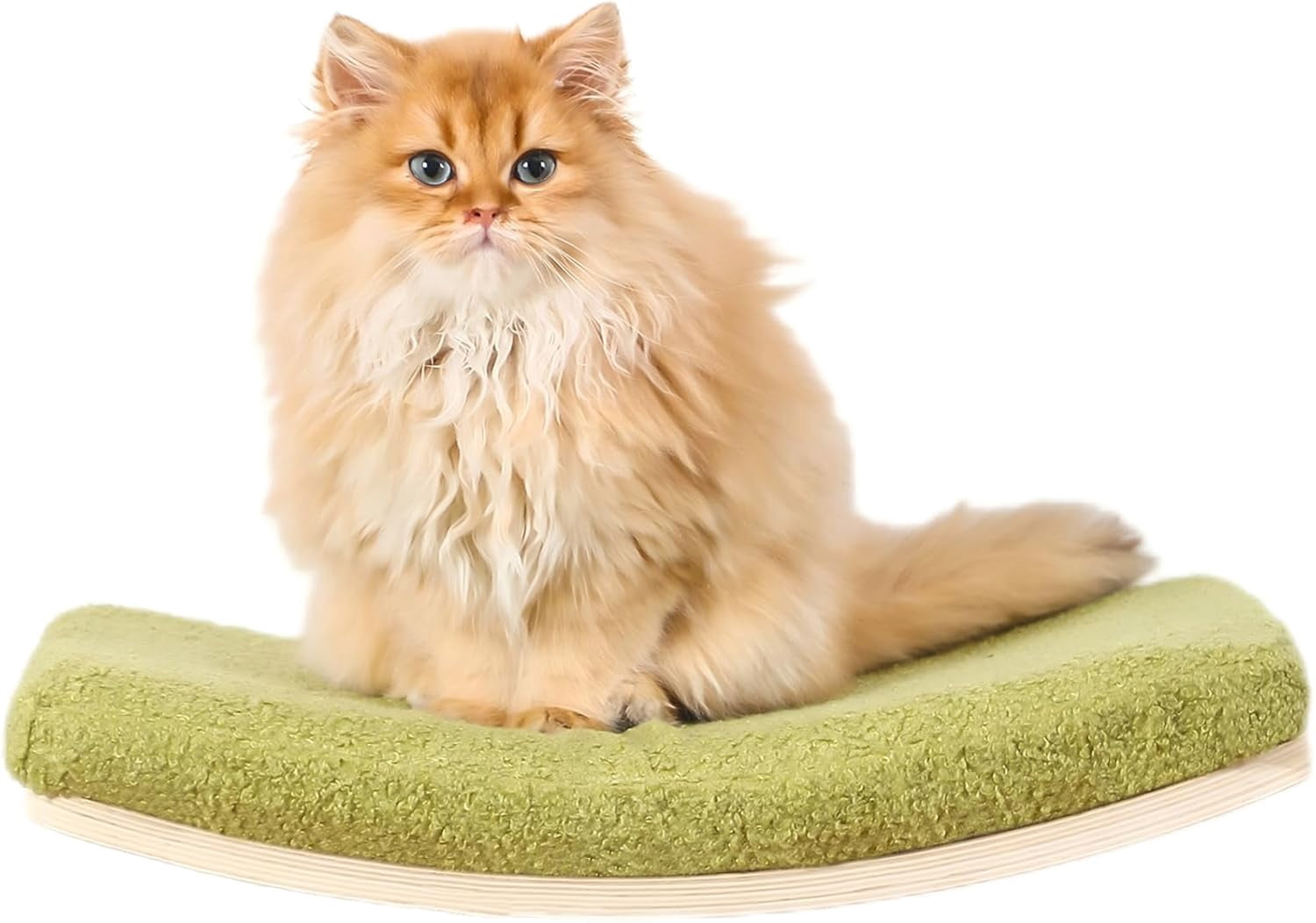Curved Cat Shelves and Perches, Floating Cat Wall Bed with Comfortable ...