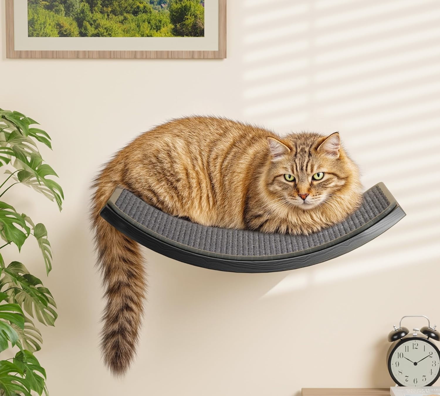 Curved Cat Wall Shelves with Scratching Mat, Wall Mounted Wood Multi ...