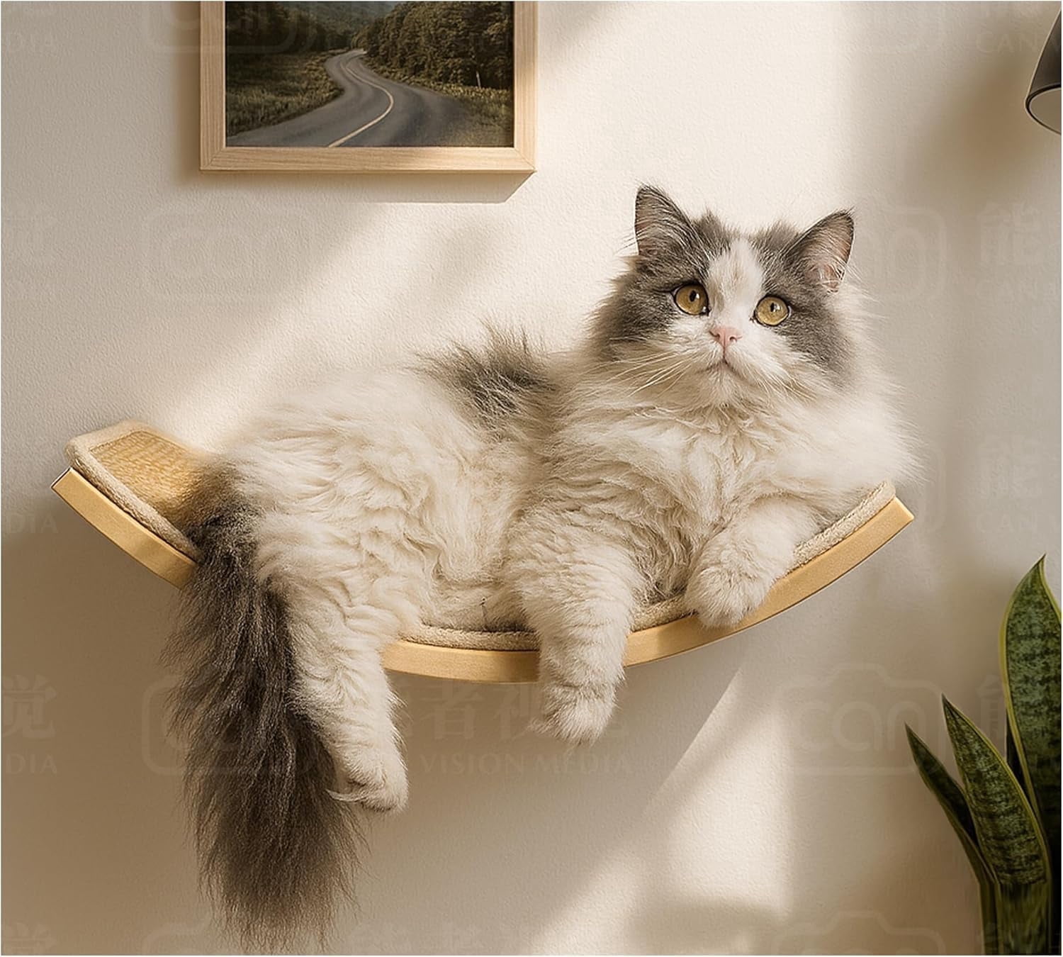 Peluomoz Curved Wood Cat Wall Perch – Wall-Mounted Floating Indoor ...