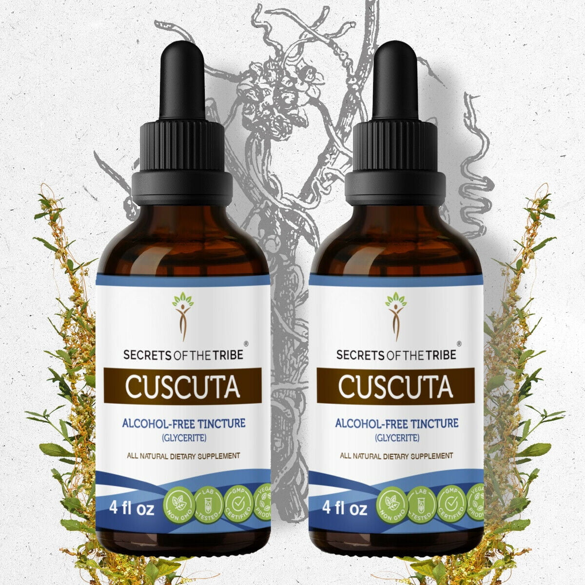 Cuscuta Tincture Alcohol-FREE Extract, Wildcrafted Clover Dodder ...