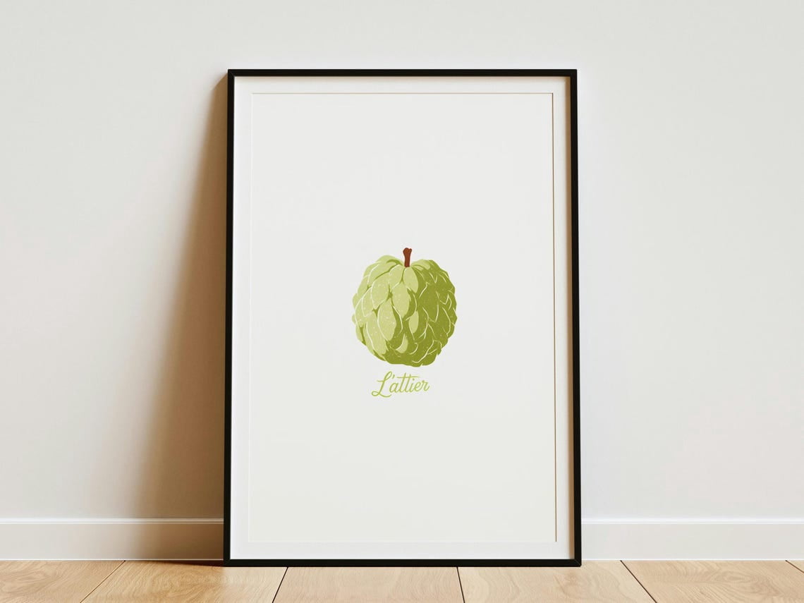 Custard Apple Sugar Apple Annona Squamosa Botanical Illustration Fruit ...