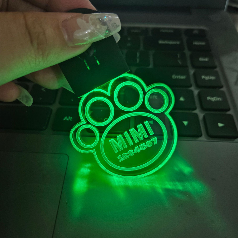 Custom Acrylic LED Dog Tag Pet Night Walk Safety Light Personalized Pet ...