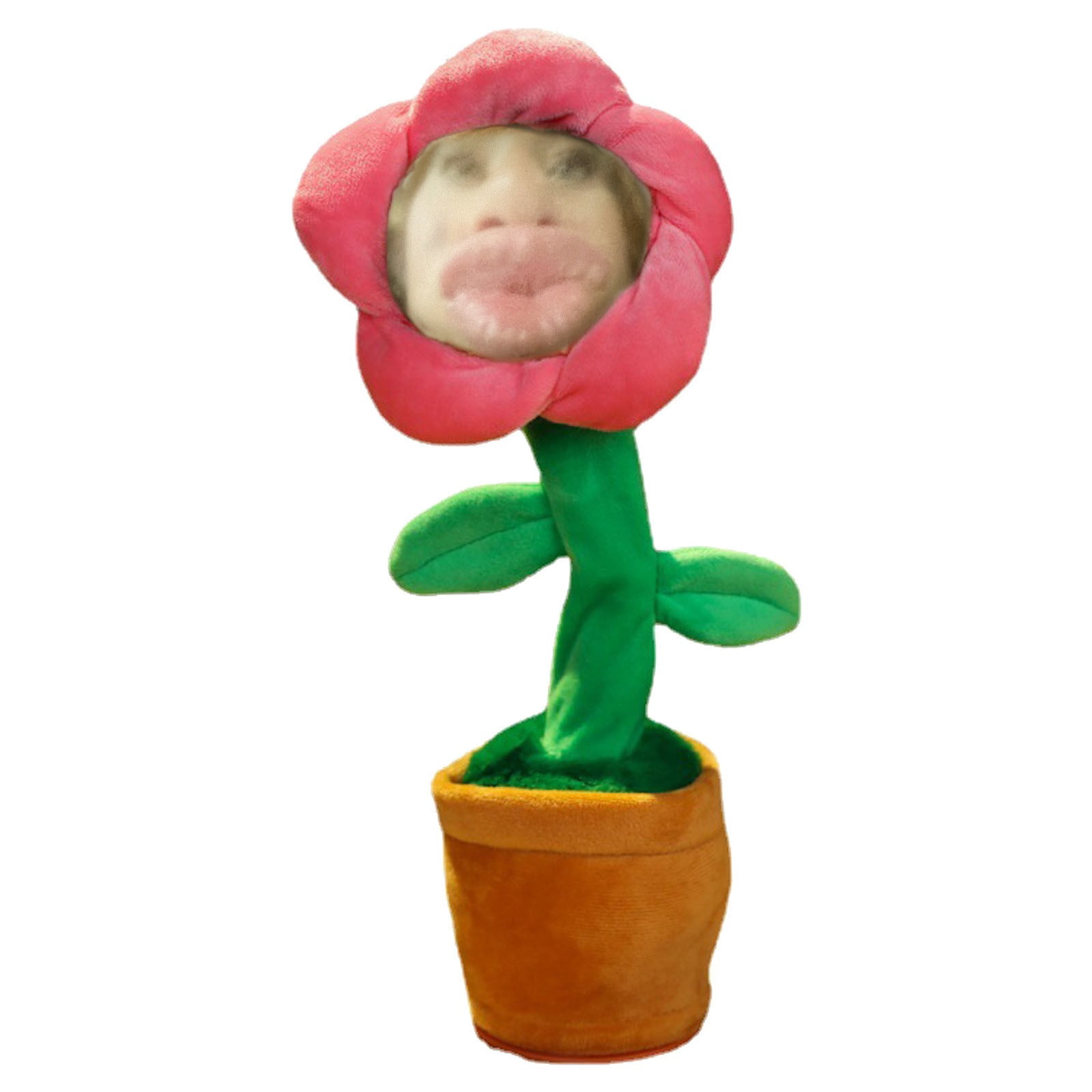 Custom Dancing Talking Sunflower Toys Dancing Flower with Custom Face ...