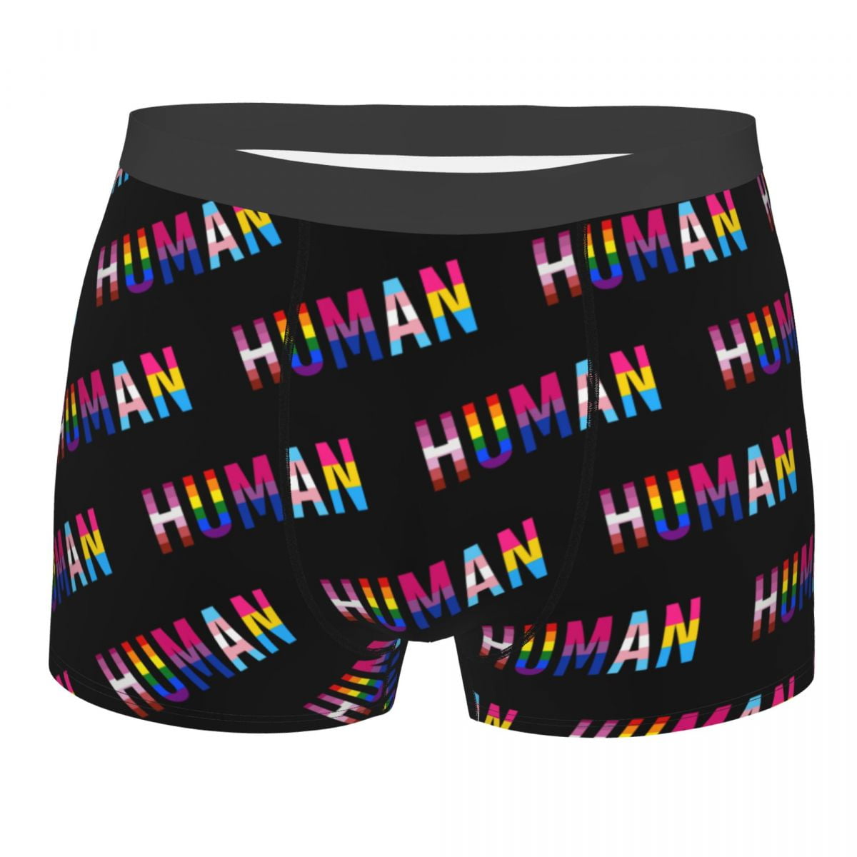 Custom Distressed Gay Bear Pride Flag Stripe Underwear Men Sexy LGBT ...