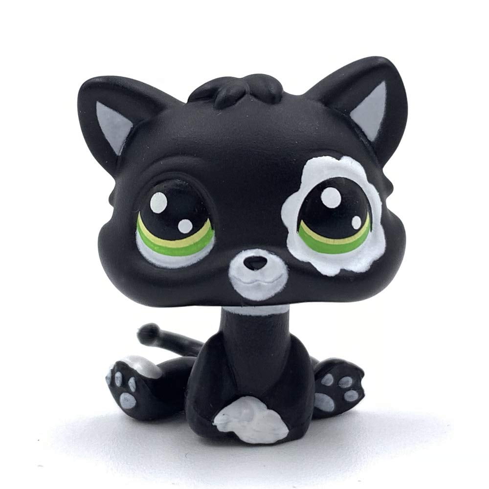 Custom-Made Baby Kitty Pet Shop Toy Short Hair Cat Mini Bobble Head ...