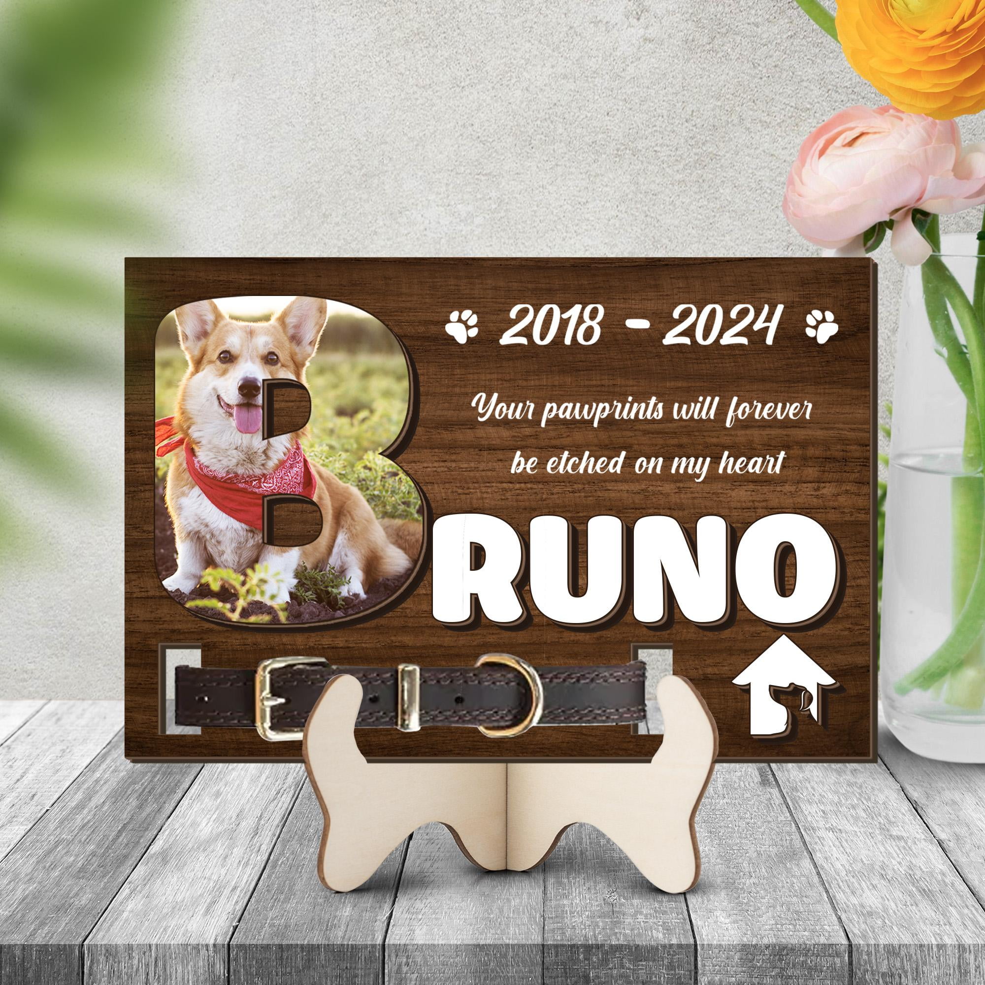 Custom Memorial Collar With Photo, Memorial Frame For Loss, Pet ...