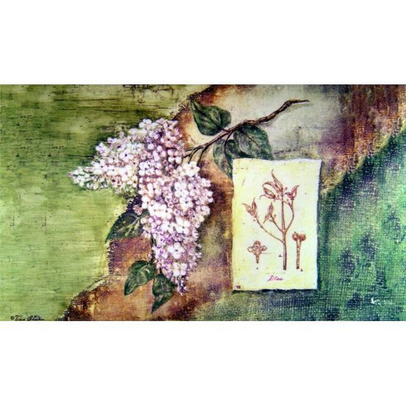 Custom Printed Rugs AWV069 Lilac Doormat Rug, Green - 18 x 30 in ...